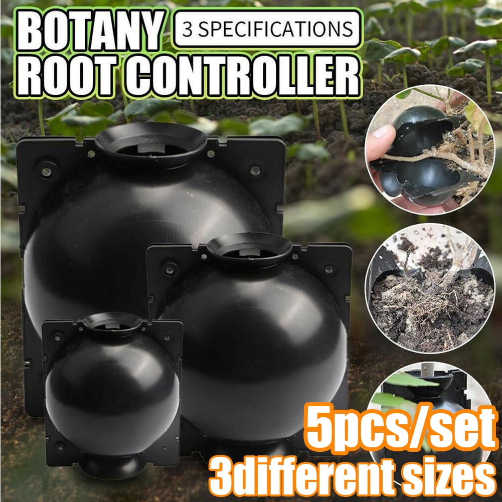 Travelwant 5Pcs Plant Root Growing Box, Reusable Plant Rooting Device ...