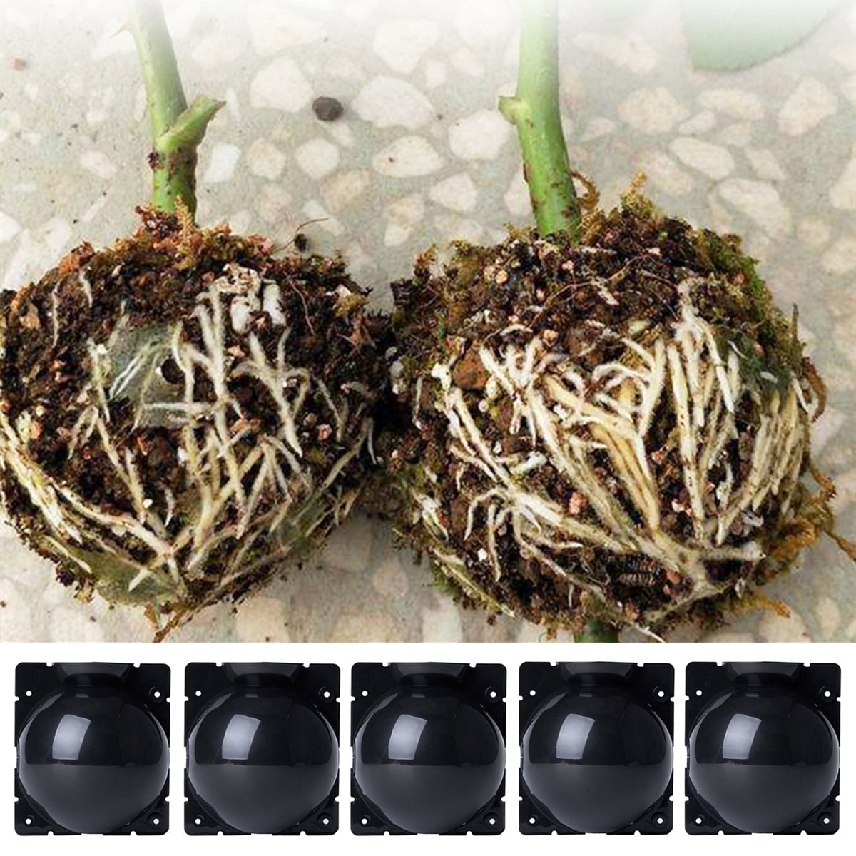 Travelwant 5Pcs/Set Reusable Plant Rooting Device Plant Rooting Grow ...