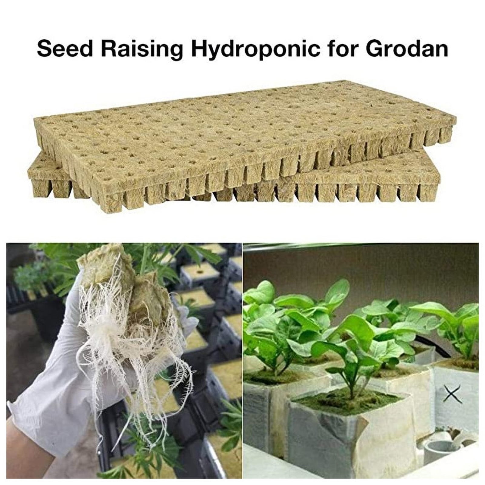 Travelwant 8Pcs Garden Stonewool Grow Cubes Starter Plugs for Soilless ...