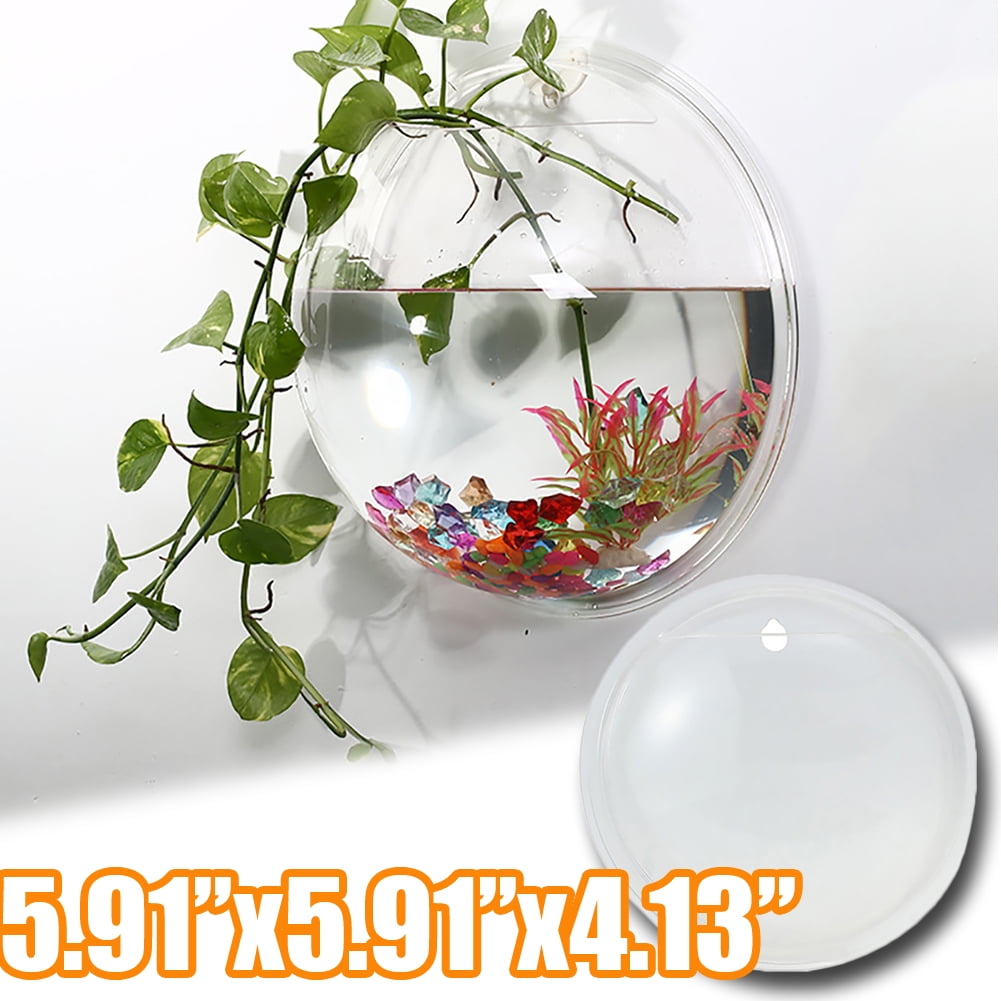 Travelwant Acrylic Wall Mounted Goldfish Aquatic Container, Mini ...