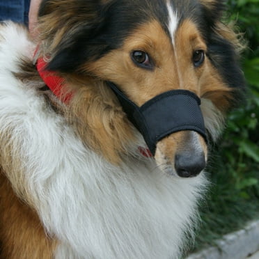 Nylon Dog Muzzle For Small,Medium,Large Dogs Prevent From Biting ...