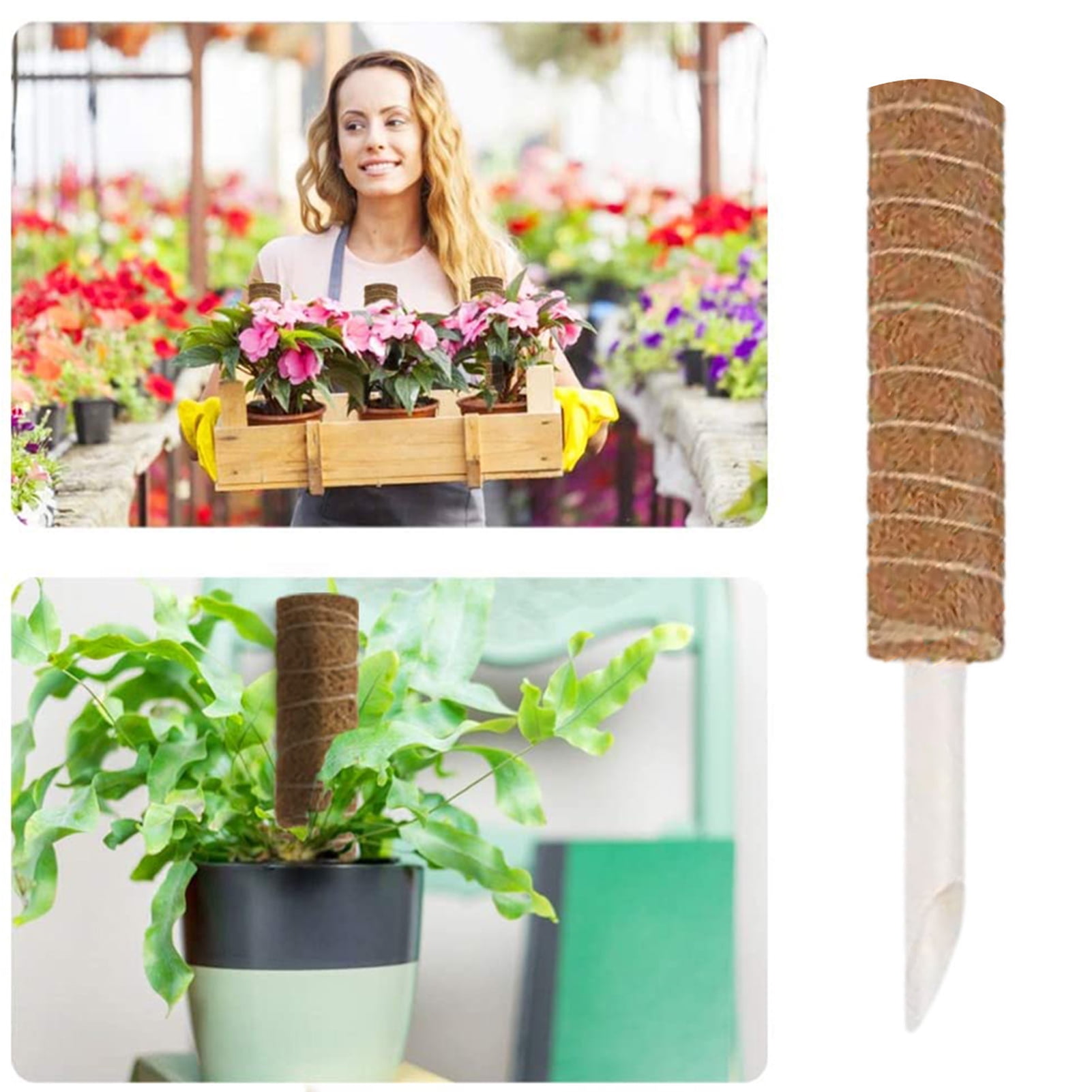 Travelwant Jungle Moss Pole - Coco Coir Poles - Train Indoor Plants to ...