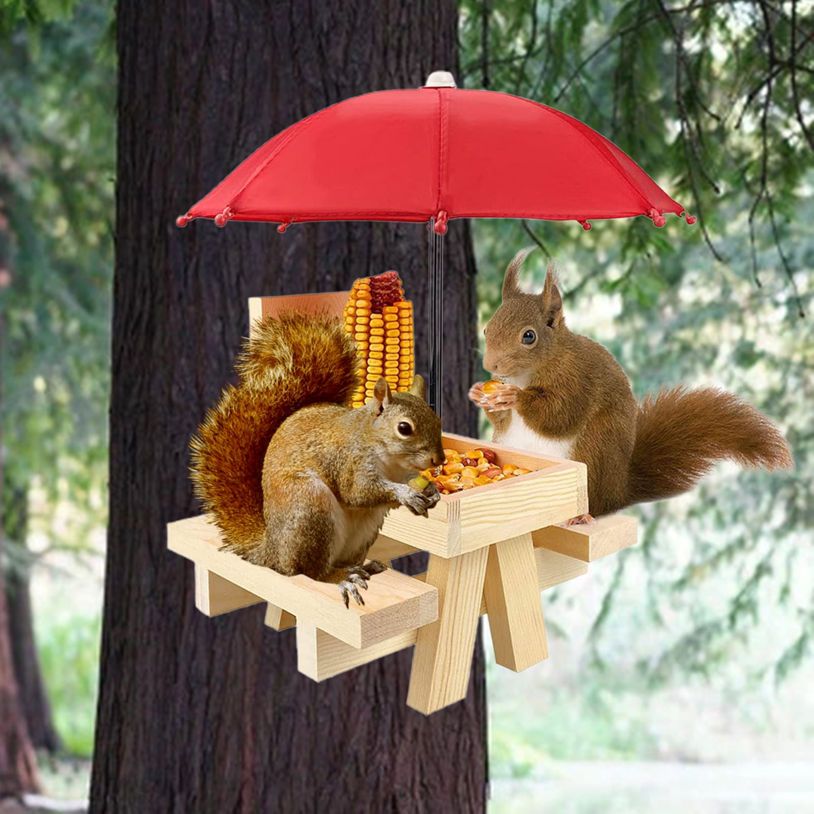 Travelwant Large Cedar Squirrel Feeder, Durable Wood, Garden Yard Decor ...