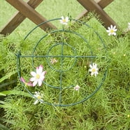 4 Sets Peony Support Cage,10" Dia. x 16" High Grow Through Hoops Grids ...