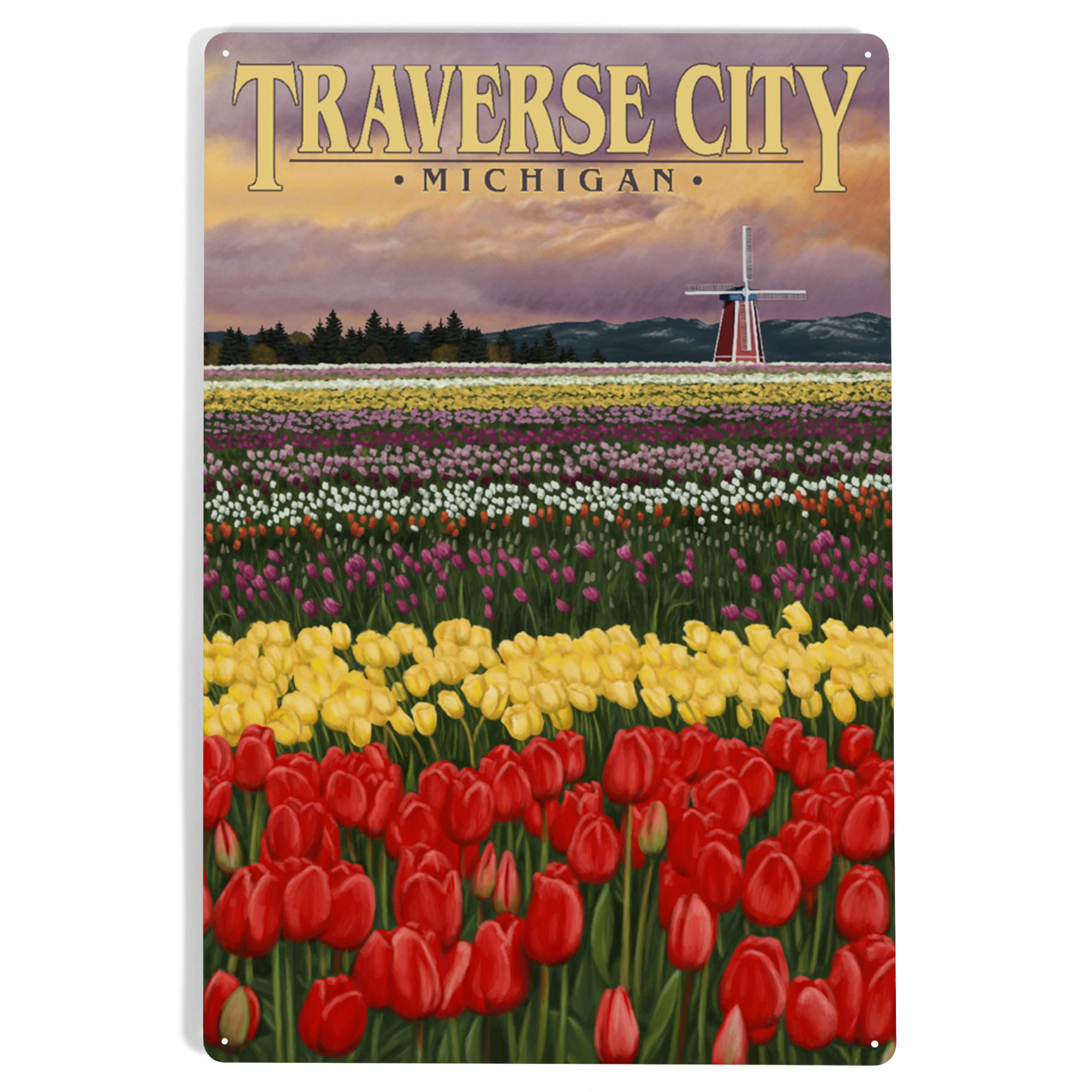 Traverse City, Michigan, Tulip Fields (12x18 Aluminum Art, Indoor ...
