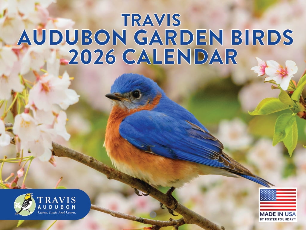 Travis Audubon Garden Birds Calendar 2026 Wall - Walmart.com
