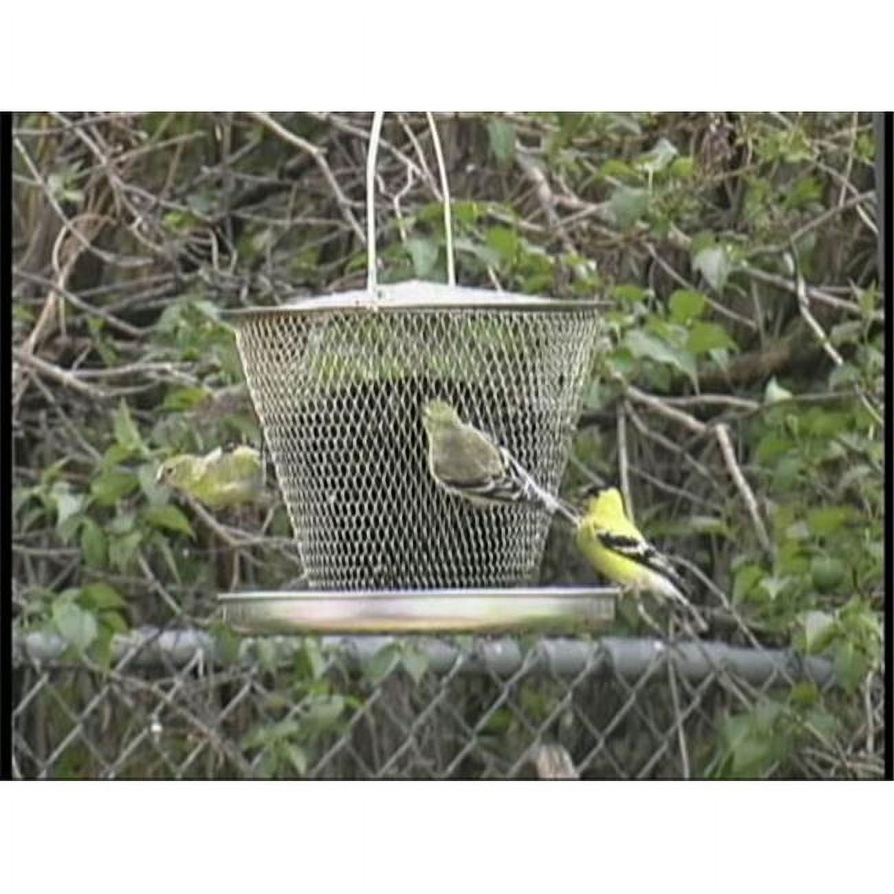 Tray Mesh Bird Feeder - Walmart.com