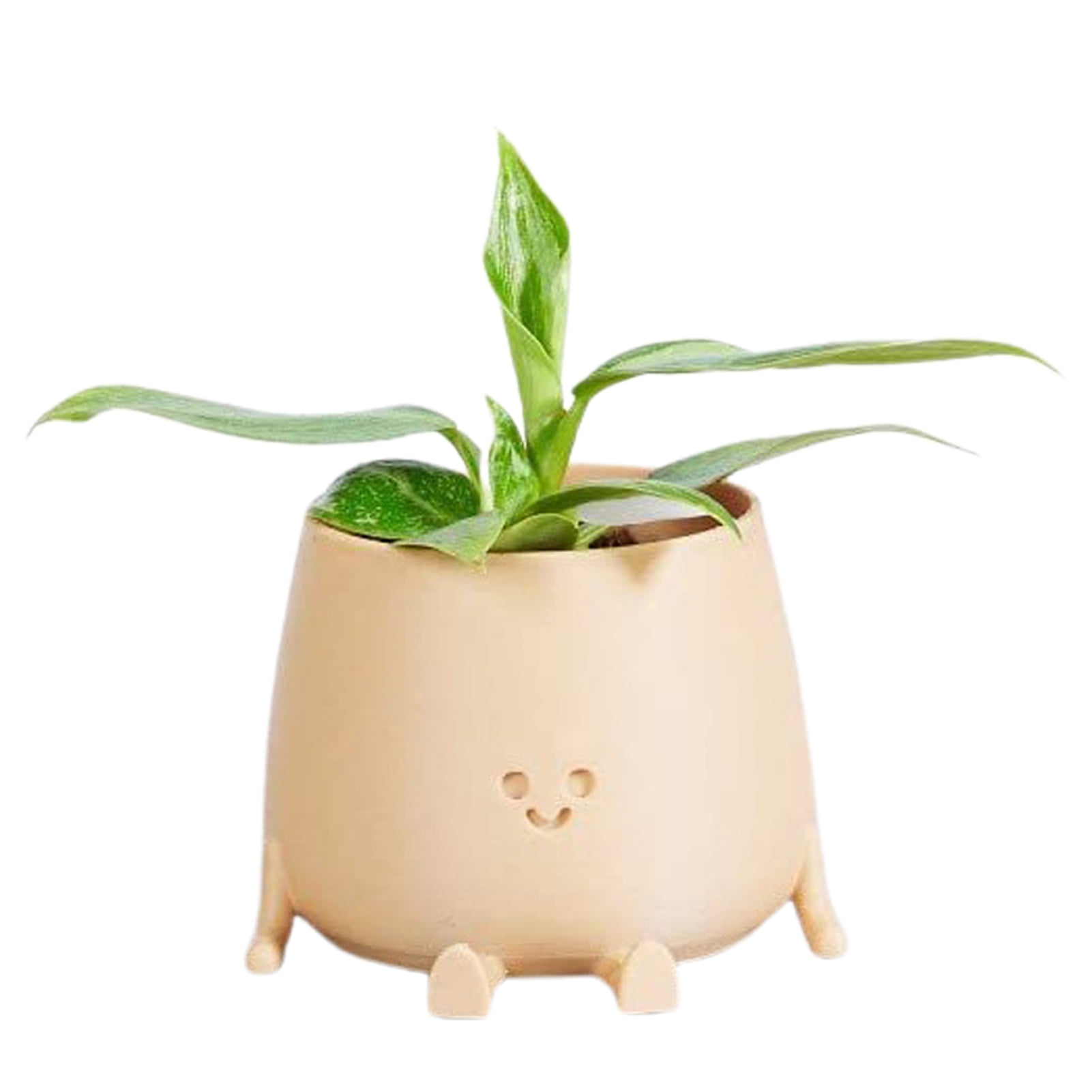 Trayknick Smiling Face Planter Succulent Flower Pot Smiling Face Design ...