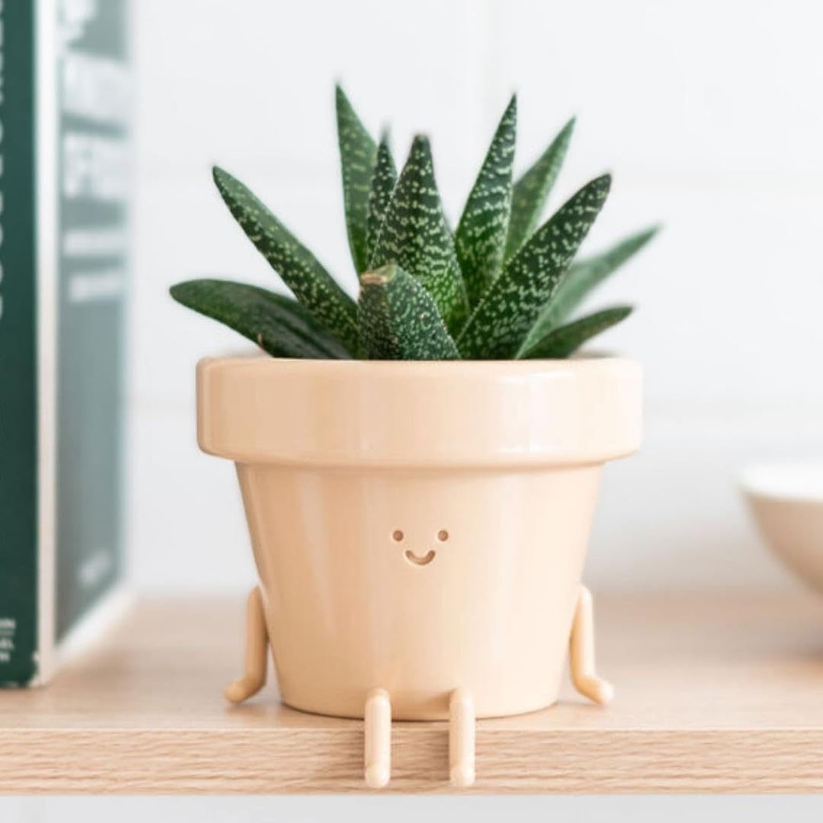 Trayknick Smiling Face Succulent Flower Pot - Stable Support, Sun and ...