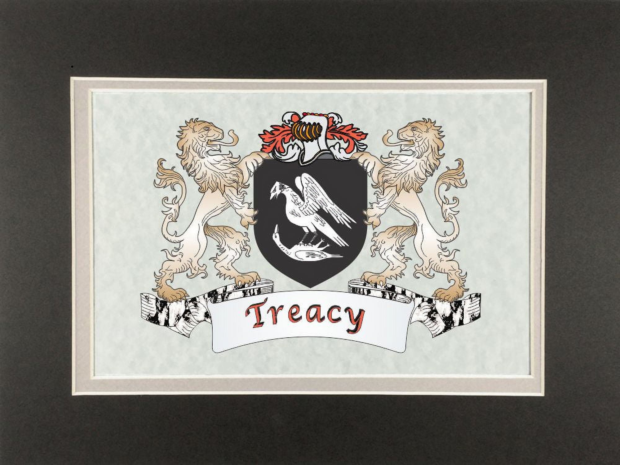 Treacy Irish Coat of Arms Print - Frameable 9" x 12" - Walmart.com