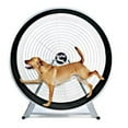 TreadWheel For Large Dogs - Walmart.com
