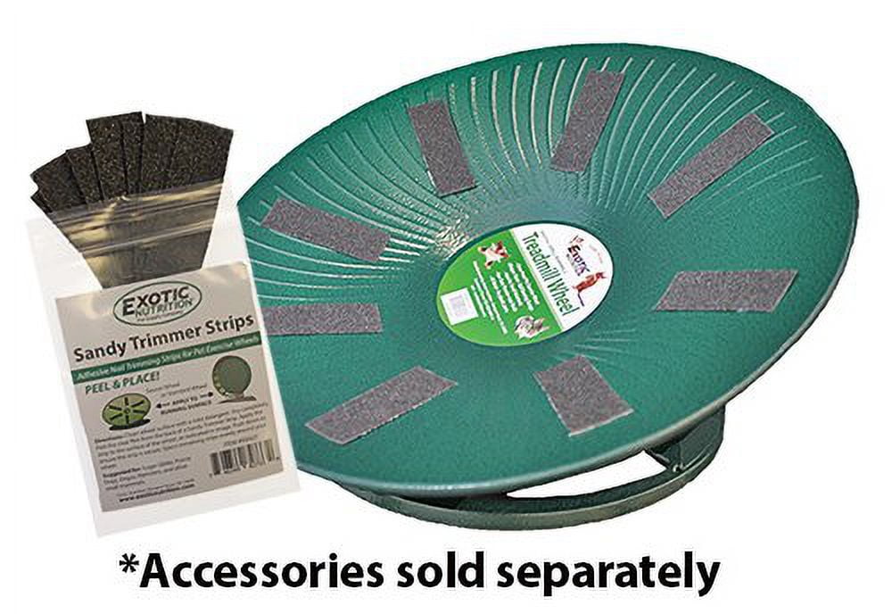 Treadmill Wheel 11" Black - All-Metal Exercise Wheel - Chinchillas ...