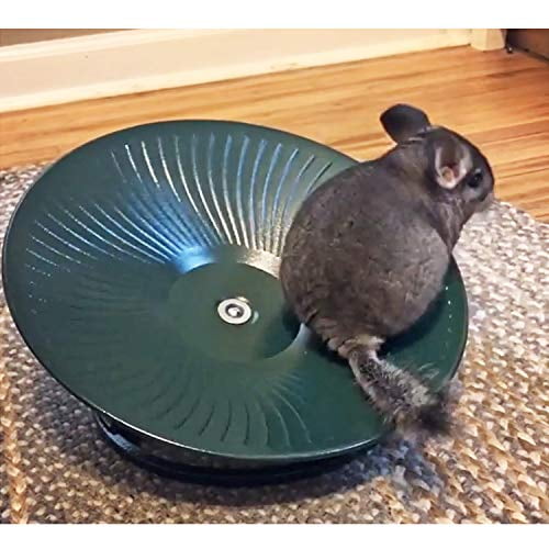 Treadmill Wheel 14" Black - All Metal Exercise Wheel for Chinchillas ...