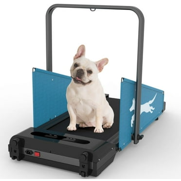 Luku 1.5HP Folding Dog Running Machine, Small Dog Treadmill, Dog Pacer ...