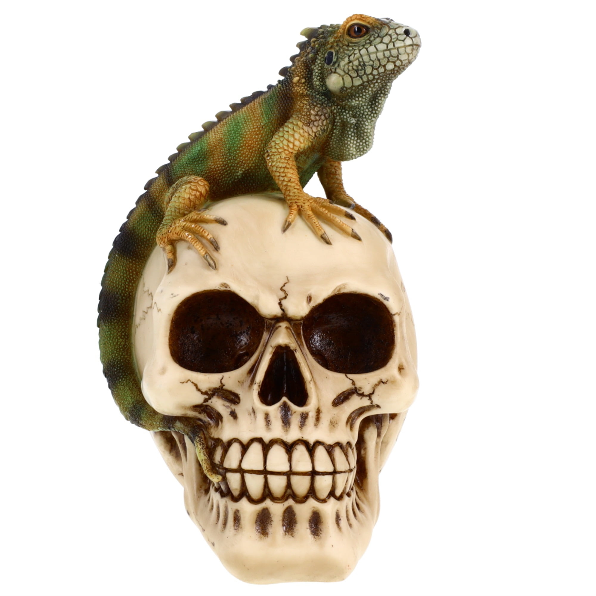 Treasure Cove Iguana on skull - Walmart.com