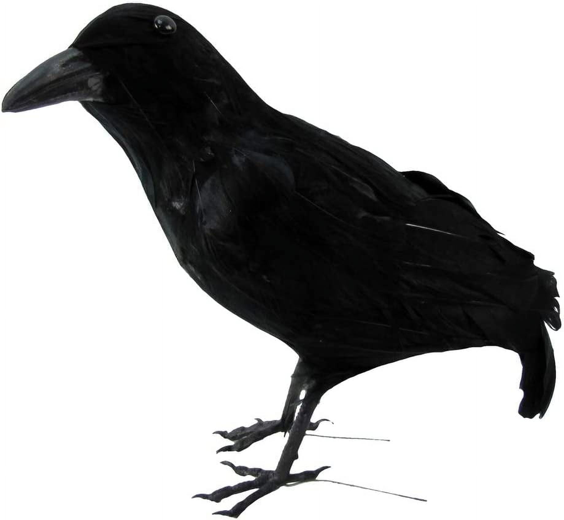 Treasure Gurus Black Lifesize Raven Movie Prop Crow Halloween ...