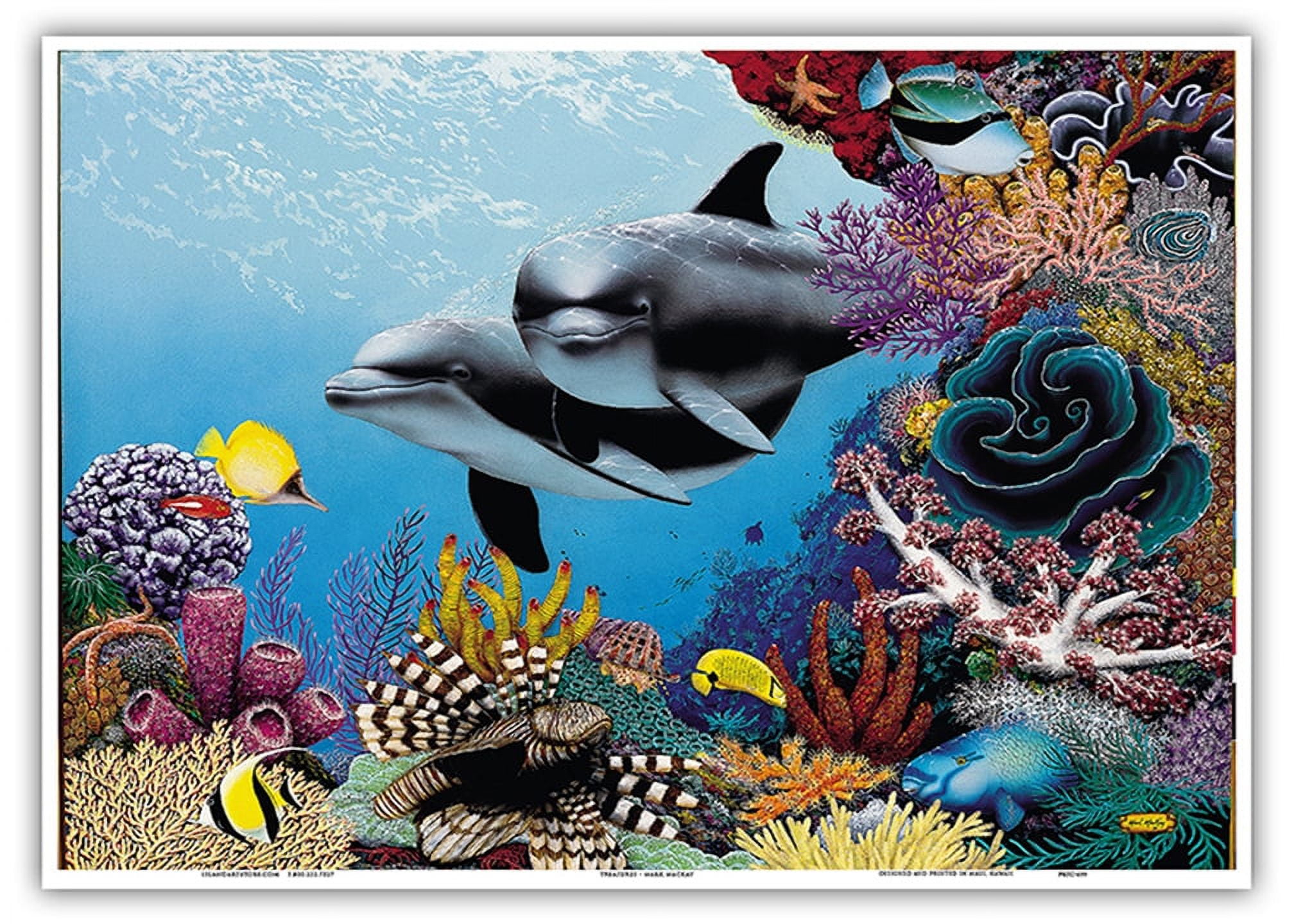 Treasures - Hawaiian Spinner Dolphins (Naiʻa) - From an Original Color ...