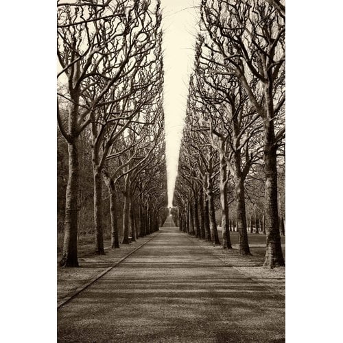 "Tree Alley" Painting Print on Wrapped Canvas - Walmart.com