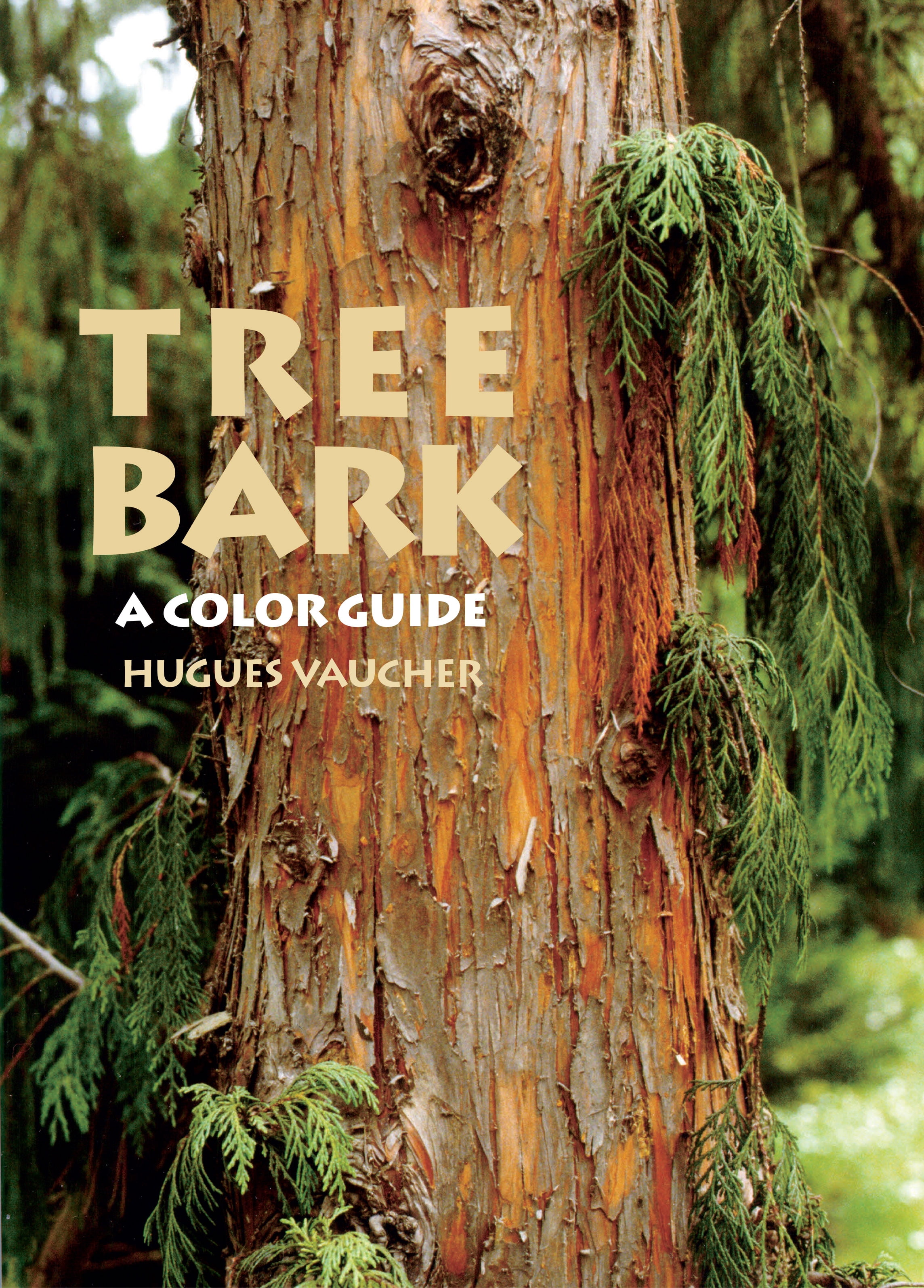 Tree Bark: A Color Guide, (Paperback) - Walmart.com