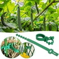 Tree Binding Strap | Plant Reusable Fixing Buckle for Garden ...