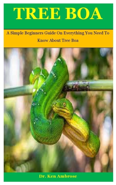 Tree Boa: A Simple Beginners Guide On Everything You Need To Know About ...