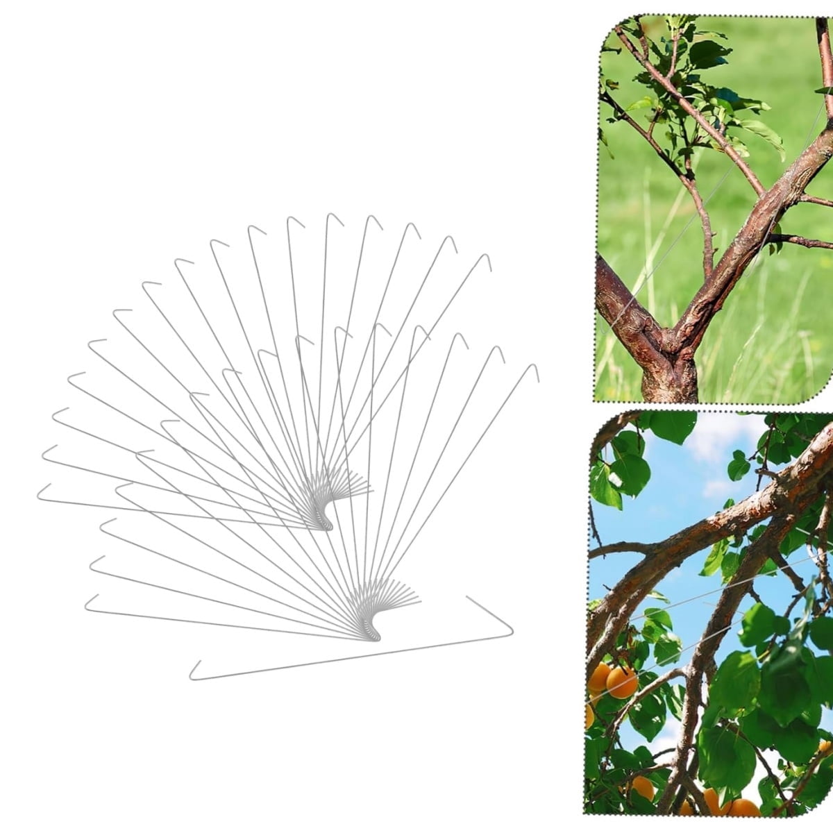 Tree Branch Support System,Set of 50 Tree Open Angle Pull Branch for ...