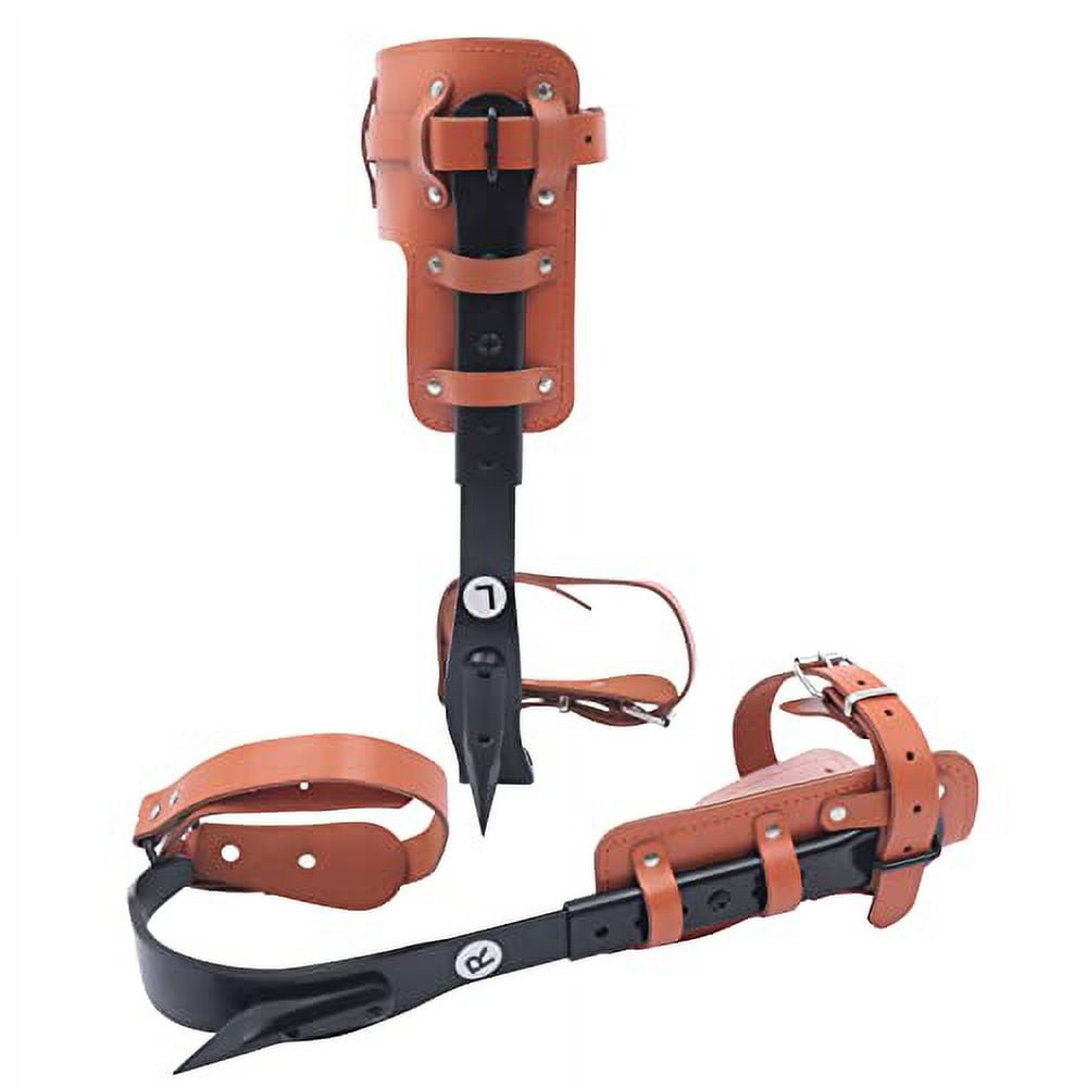 Tree Climbing Spike Set, Tree Spurs, Steel Adjustable Climber Gaffs ...