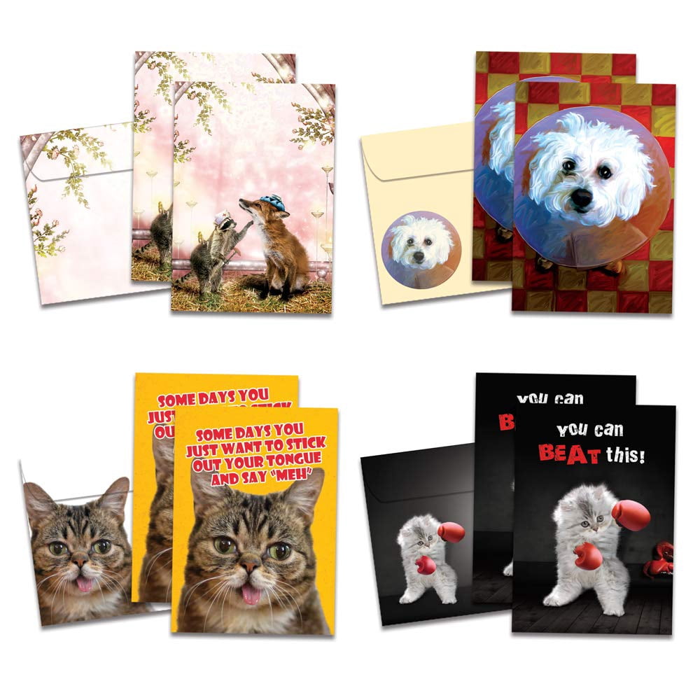 Tree-Free Greetings Funny Animal Get Well Card Assortment, 5 x 7 Inches ...