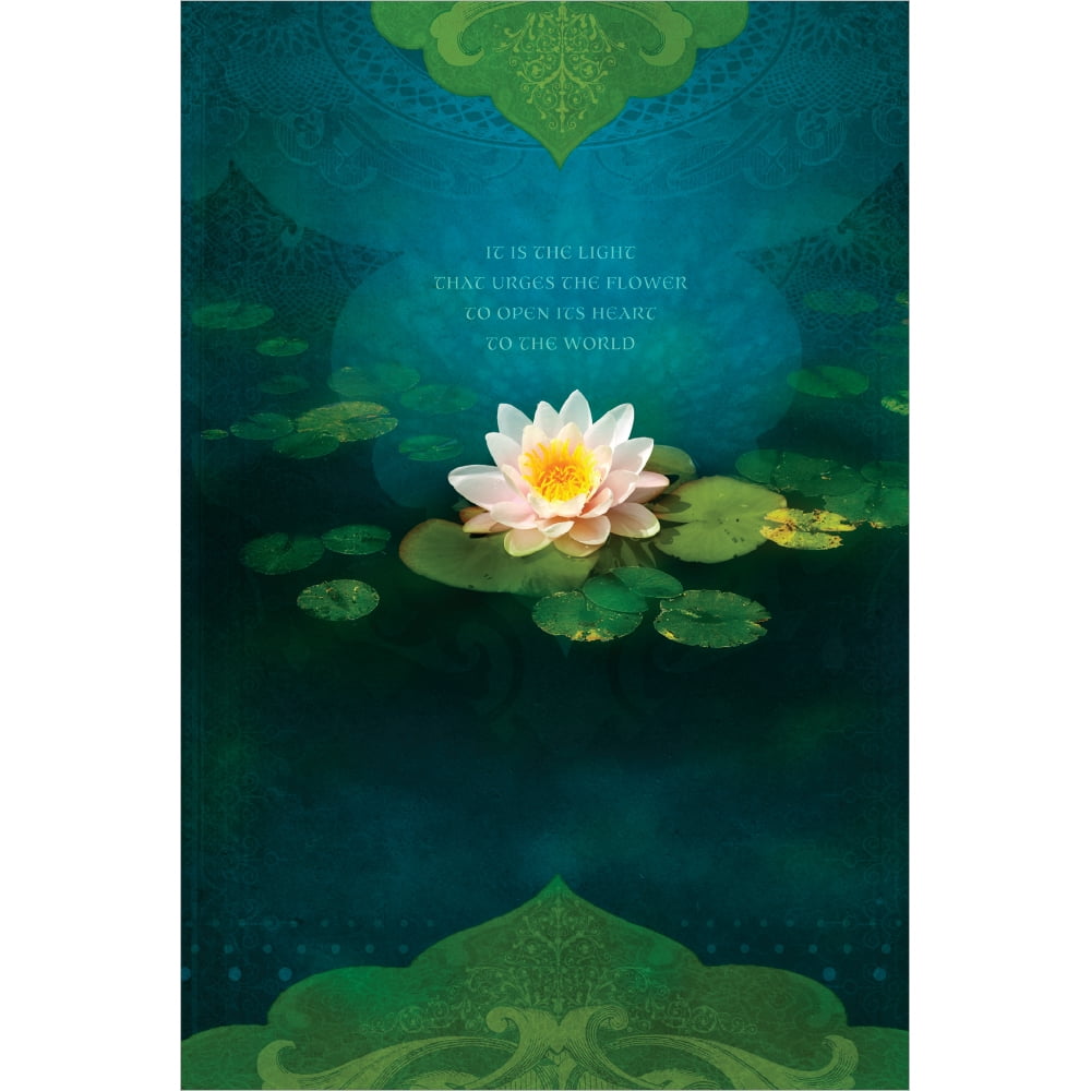 Tree-Free Greetings Just Because Greeting Card 12 Pack, 4x6, Bouquet of ...