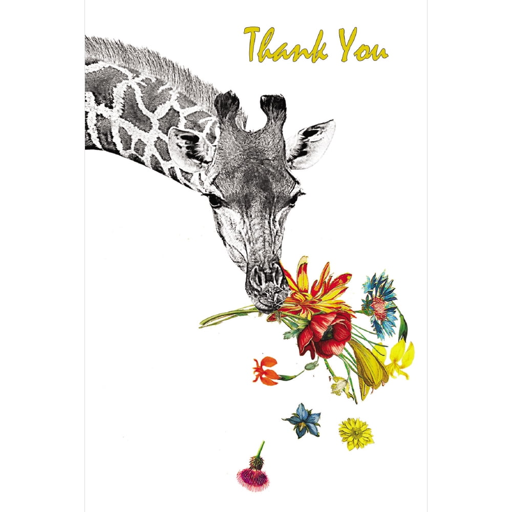 Tree-Free Greetings Thank You Greeting Card 12 Pack, 100% Recycled ...
