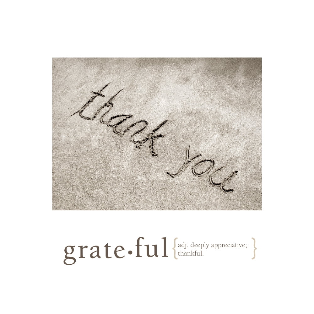 Tree-Free Greetings Thank You Greeting Card 12 Pack, 4x6, Grateful ...
