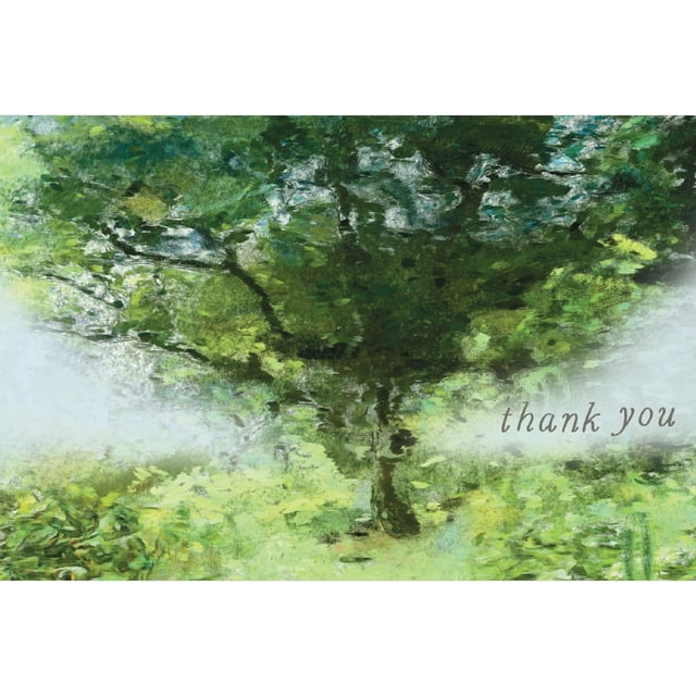 Tree-Free Greetings Thank You Greeting Card 12 Pack, 4x6, Sacred Trees ...