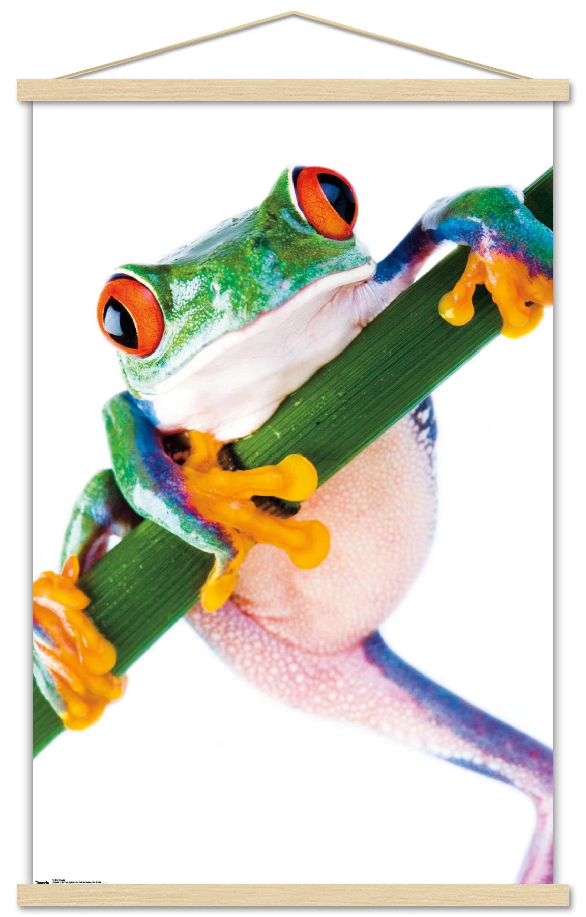 Tree Frog Wall Poster with Wooden Magnetic Frame, 22.375" x 34 ...