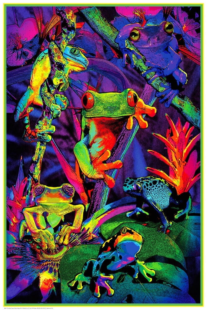 Tree Frogs - UV Glow Fluorescent Blacklight Poster for Teens Bedroom ...