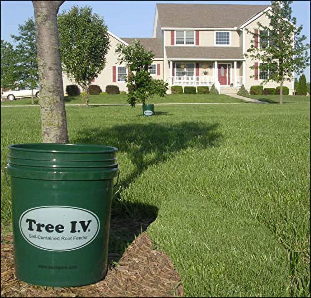 Tree I-V 6-pk Base Root Feeder | 5-Gal Easy Fill Natural Drain ...