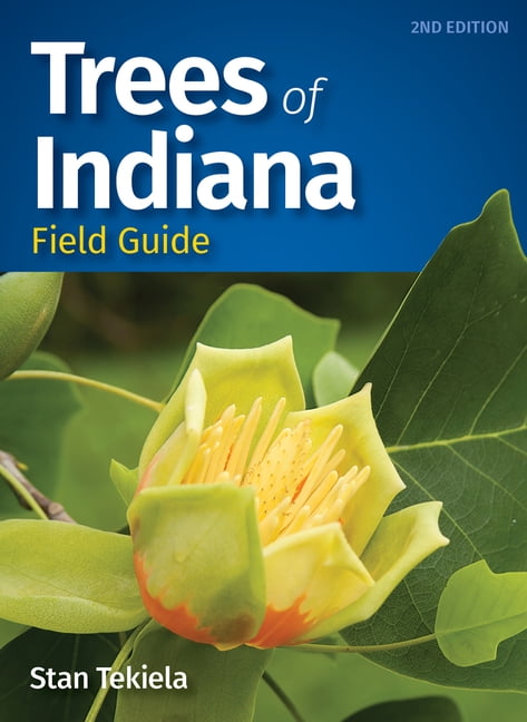 Tree Identification Guides: Trees of Indiana Field Guide (Paperback ...