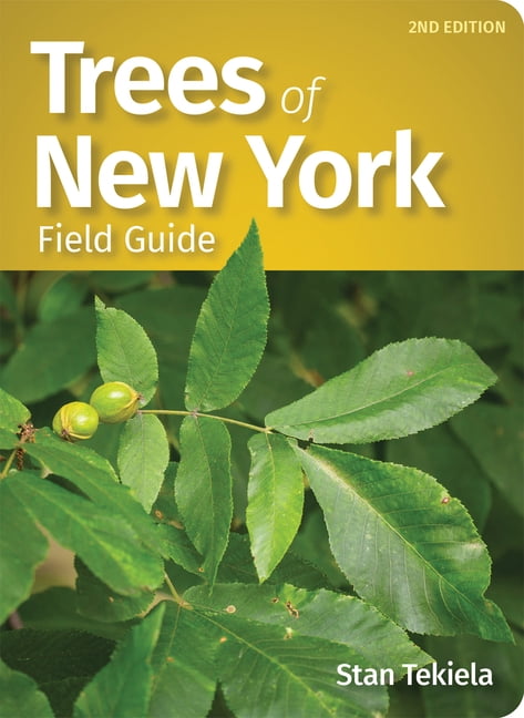 Tree Identification Guides Trees of New York Field Guide, (Paperback ...