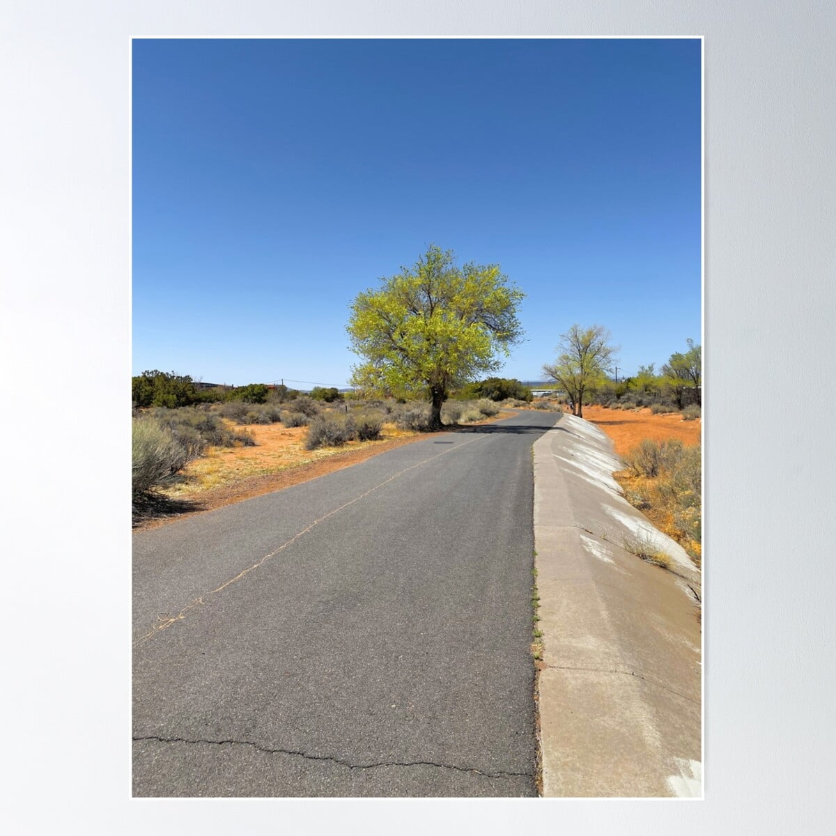 Tree In A Desert Landscape - Long Road Southwest Photograph Poster Wall ...