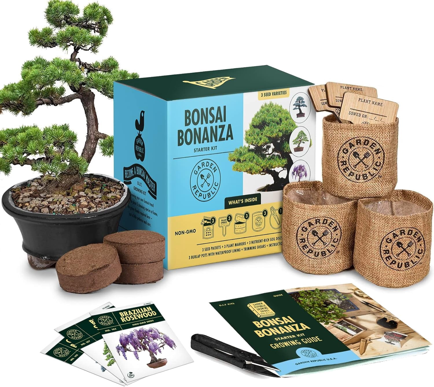 Tree Kit - Grow 3 Mini Trees, Indoor Plant Growing Kit - Starter Kit ...