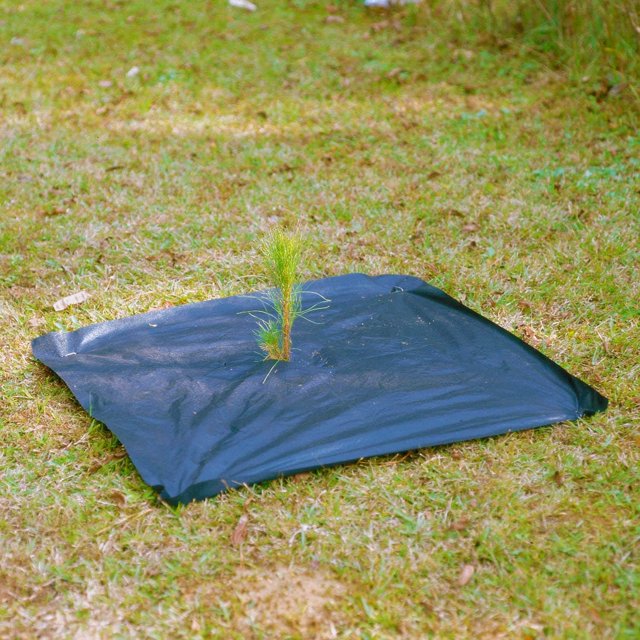 Tree Mats - Walmart.com