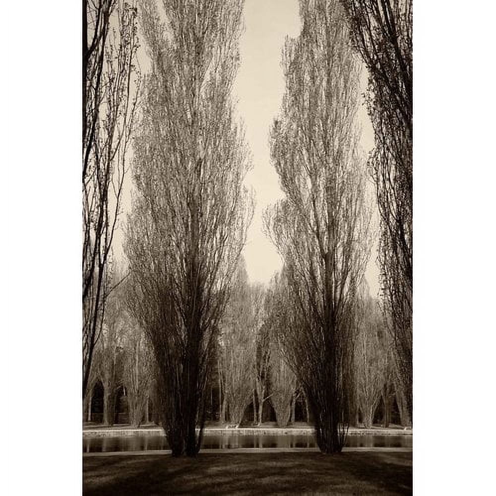 "Tree Pair" Painting Print on Wrapped Canvas - Walmart.com