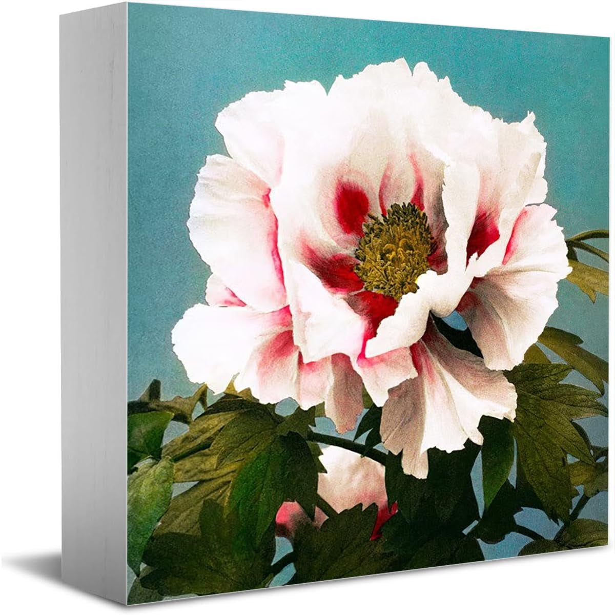 Tree Peony Spring Wooden Box Sign Spring Sign Desk Decor Floral Spring ...