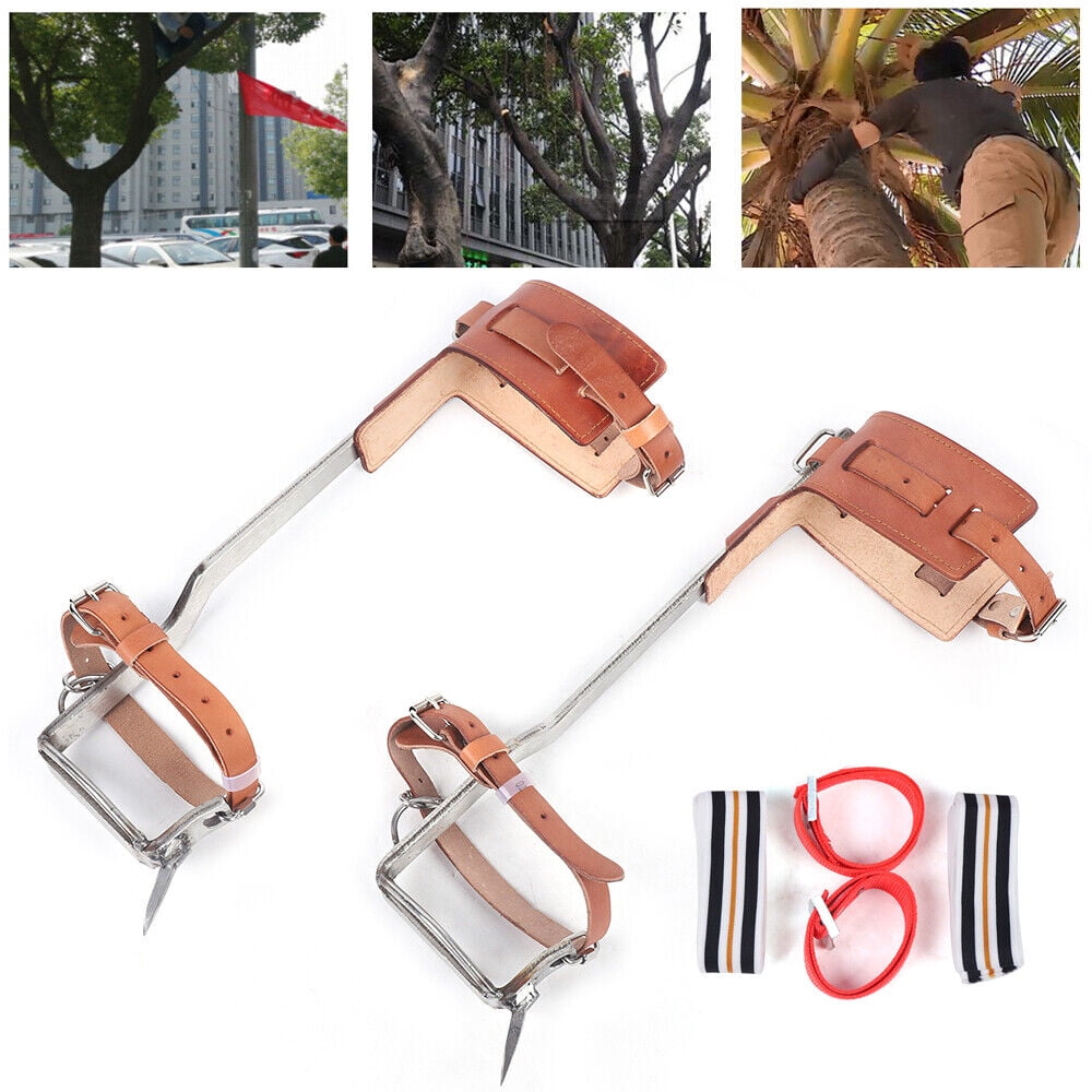 Tree/Pole Climbing Spike Gaffs Set Gear Both Sides Safety Tool ...