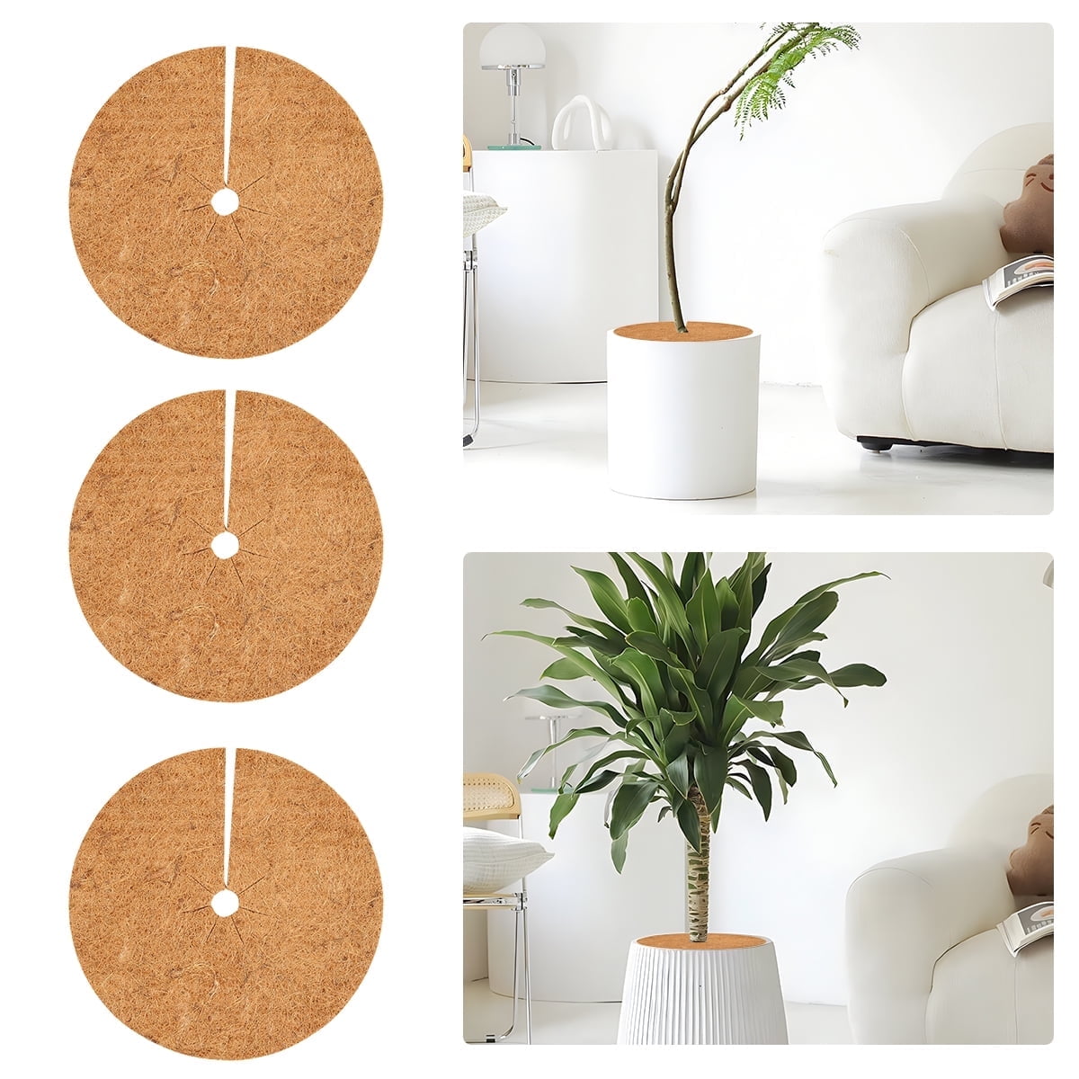 Tree Ring, Tree Rings for Garden Mulch and Tree Protection, Natural ...