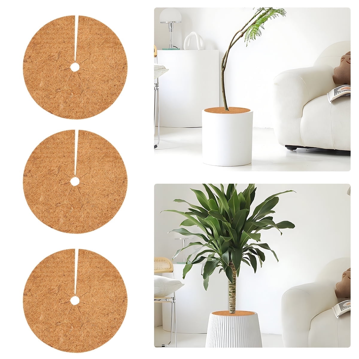 Tree Ring, Tree Rings for Garden Mulch and Tree Protection, Natural ...