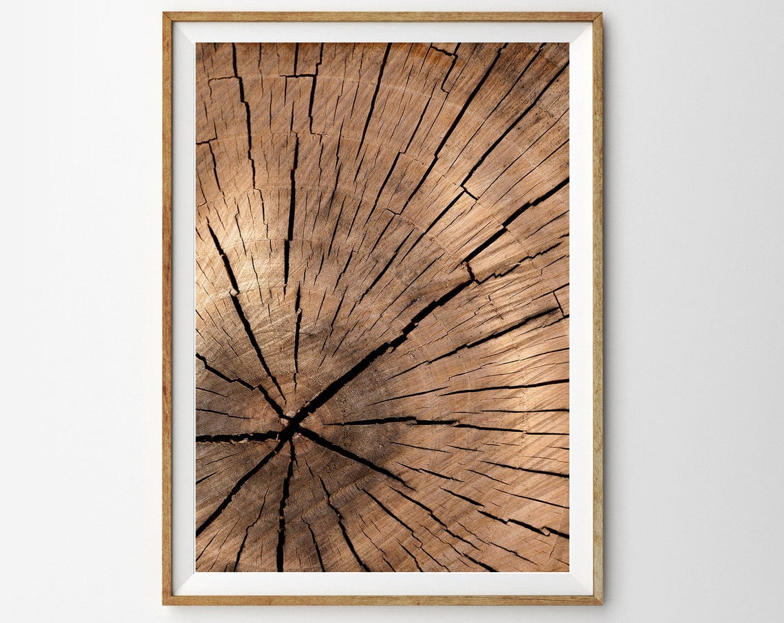 Tree Ring Print, Log Slice Wall Art Print, Rustic Print, Wood Log Print ...