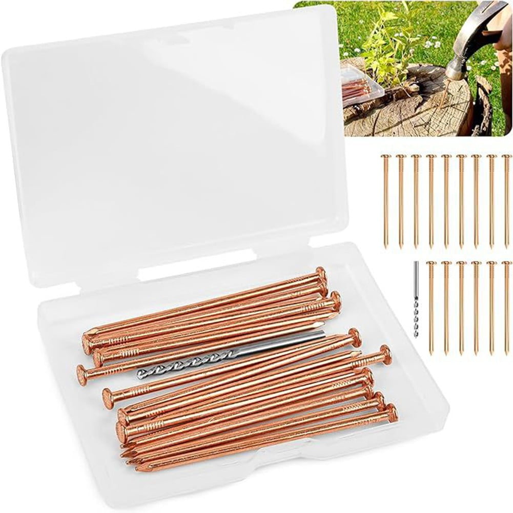 Tree Root Destroyer 4 Inch Copper Nail Spikes Perfect for Stump Removal ...