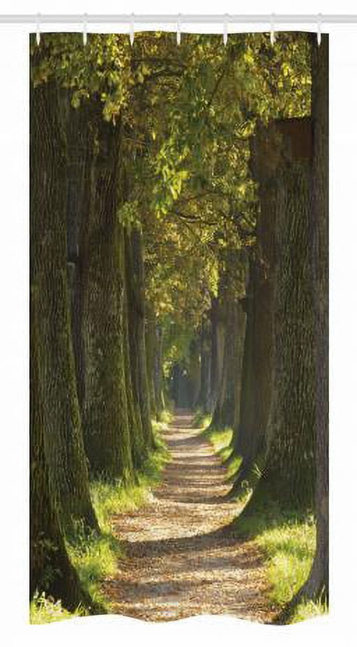 Tree Stall Shower Curtain, Alley With Oak Trees Forest Natural Rural ...