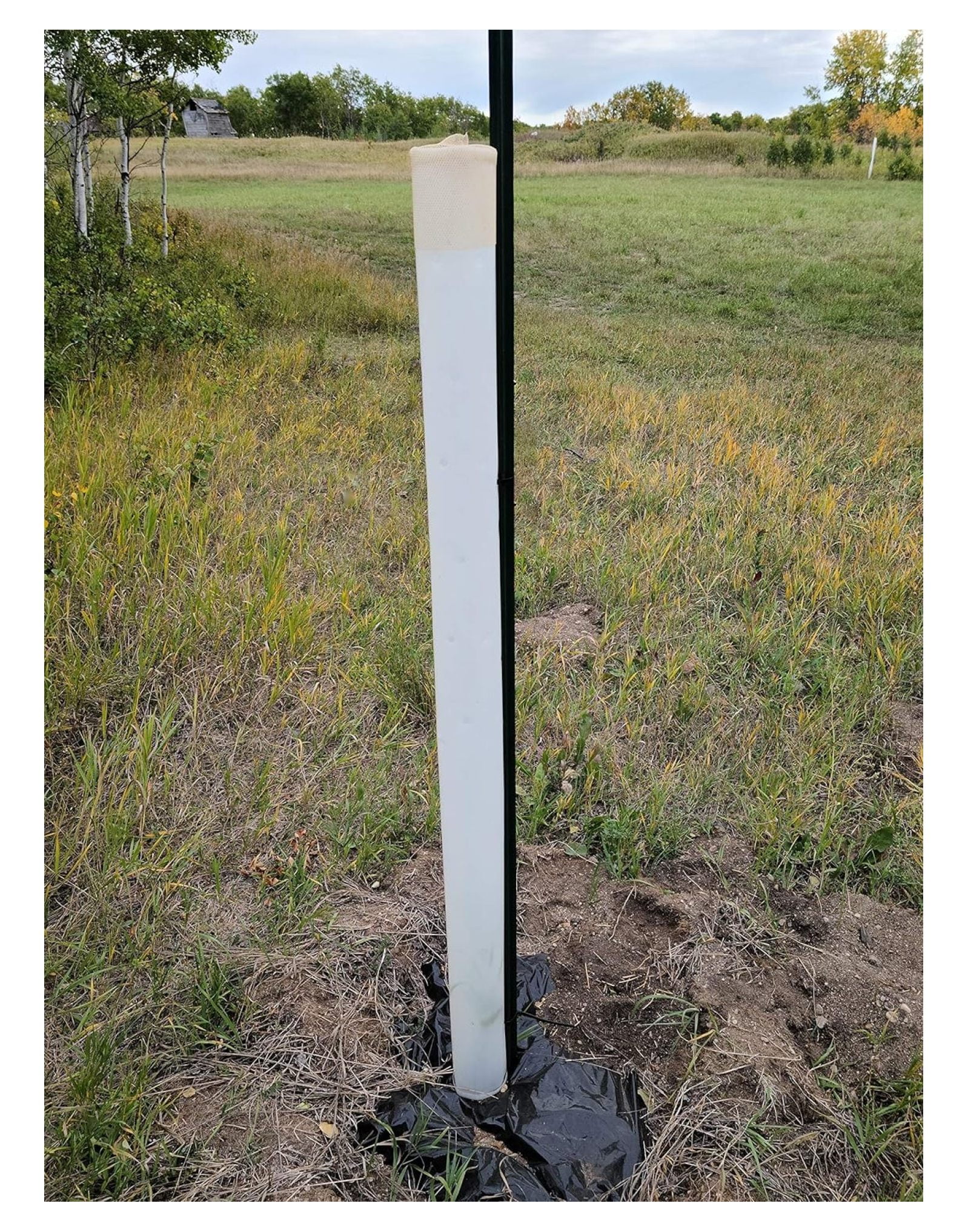 " Tree Tube - Grow Tube - Tree Shelter (25) - Walmart.com