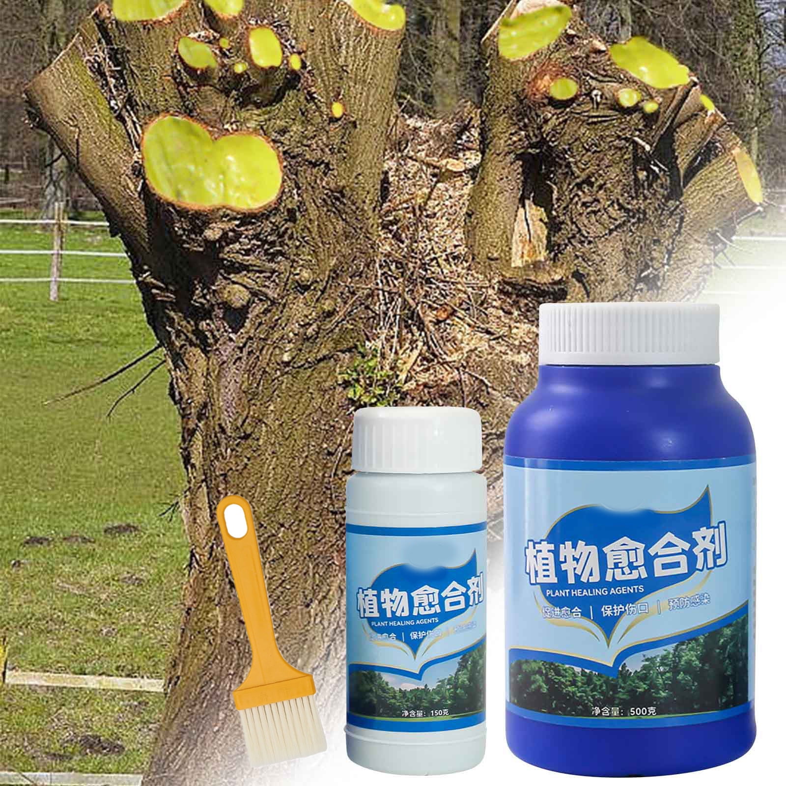 Tree Wound Healing Agent for Pruning and Grafting | Waterproof Bark ...
